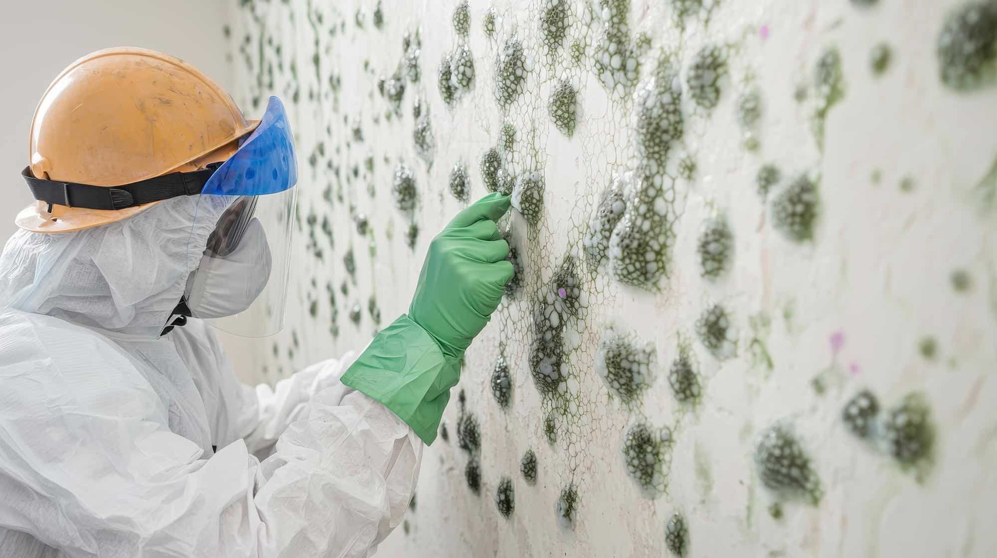 The hidden dangers of mold in your home - Dry Up Restoration