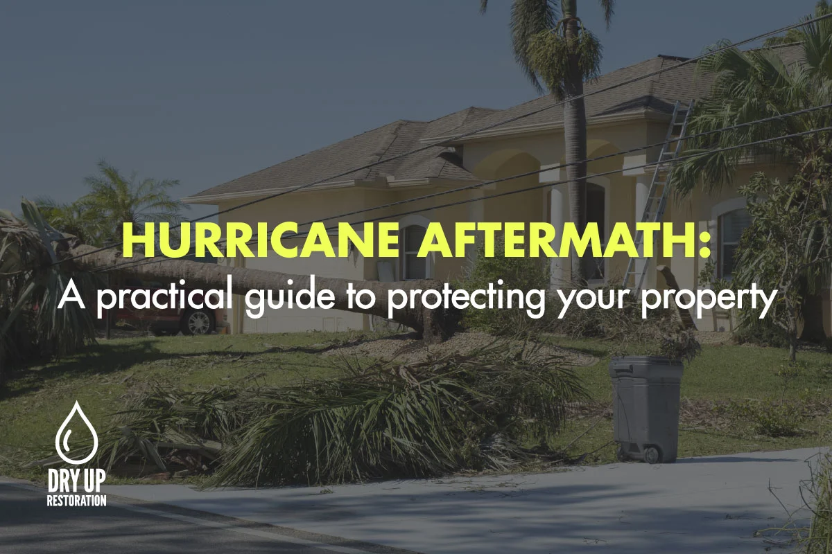 Hurricane aftermath: a practical hurricane recovery guide to protect ...